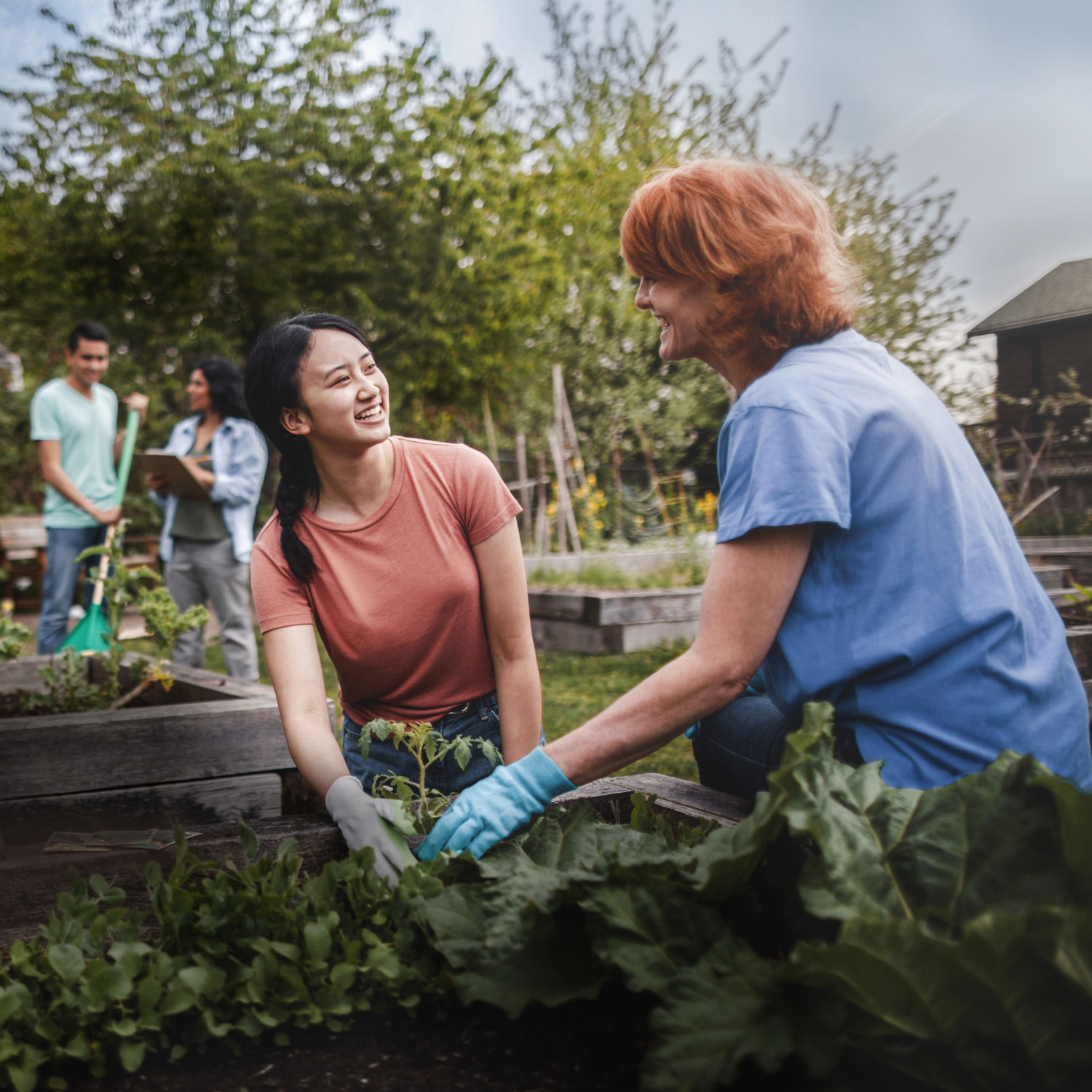 Annual Reports | CanadaHelps - Donate to any charity in Canada
