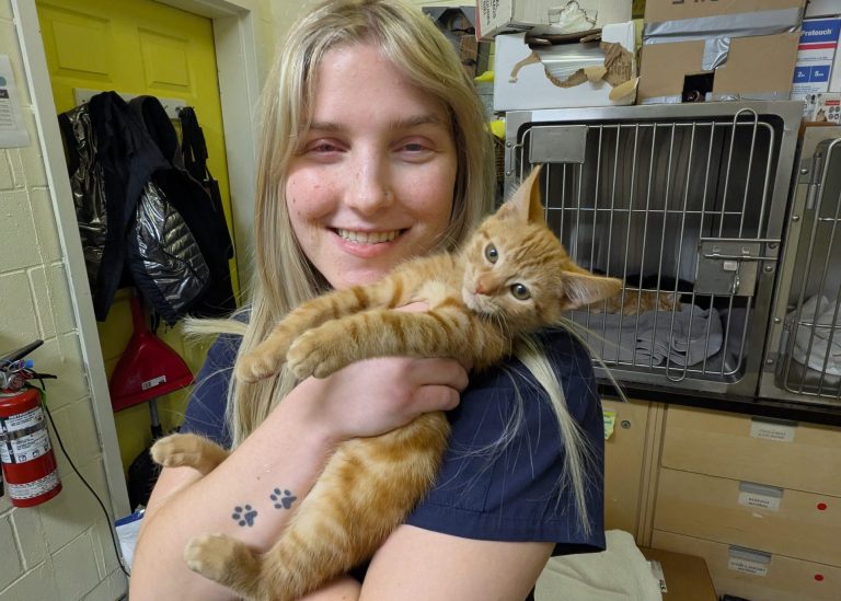 PEI Humane Society Success Story | CanadaHelps - Donate to any charity ...