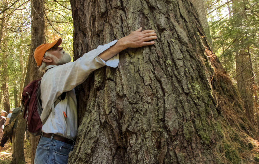 Charity Spotlight: Earthroots | CanadaHelps - Donate to any charity in ...