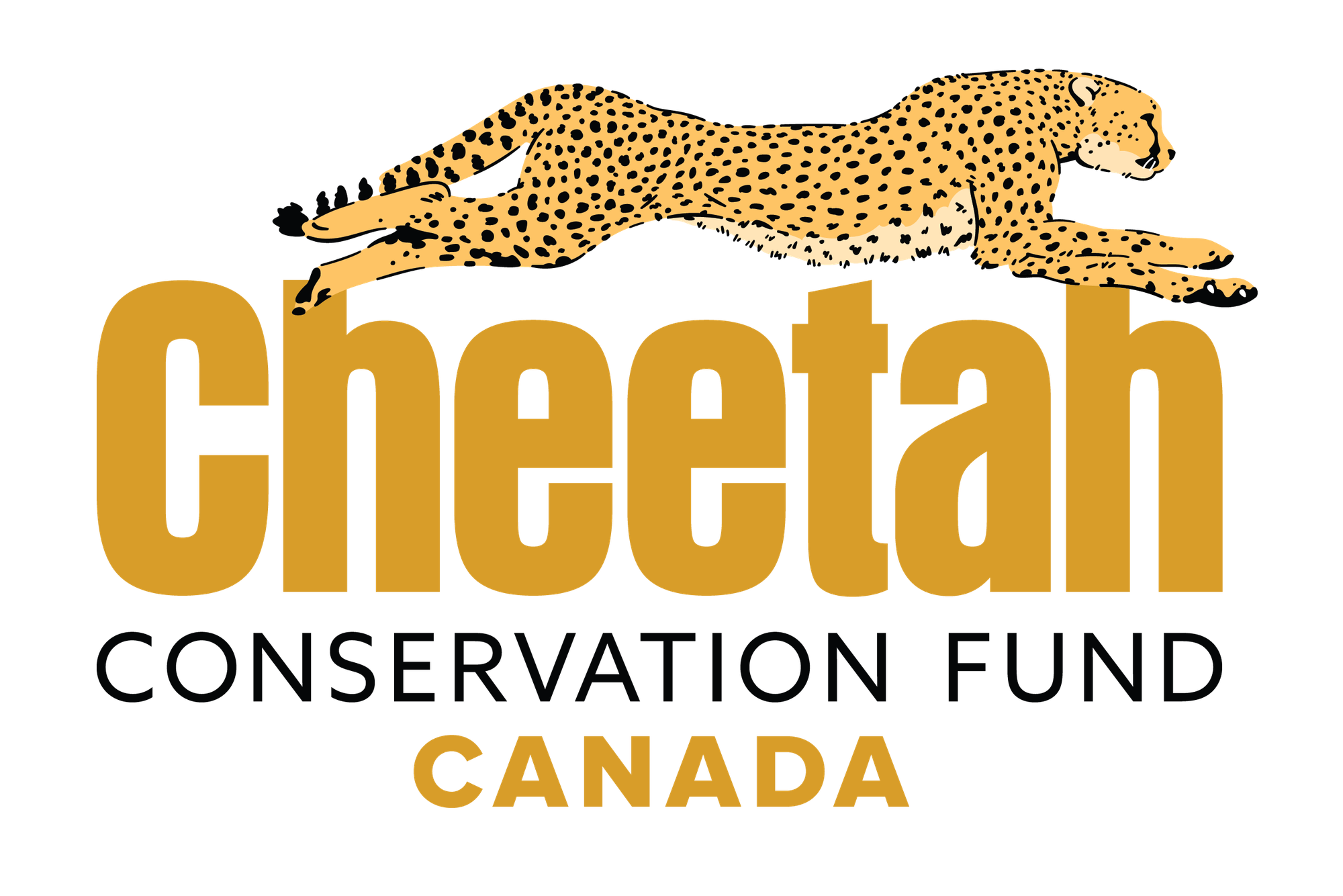 cheetah-conservation-fund-canada | CharityProfile | Donate Online