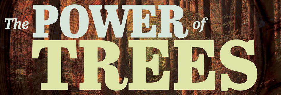 The Power of Trees - CanadaHelps