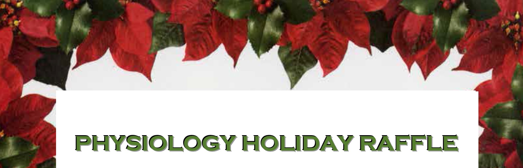 GASP/Department of Physiology Holiday Raffle 2024! - CanadaHelps