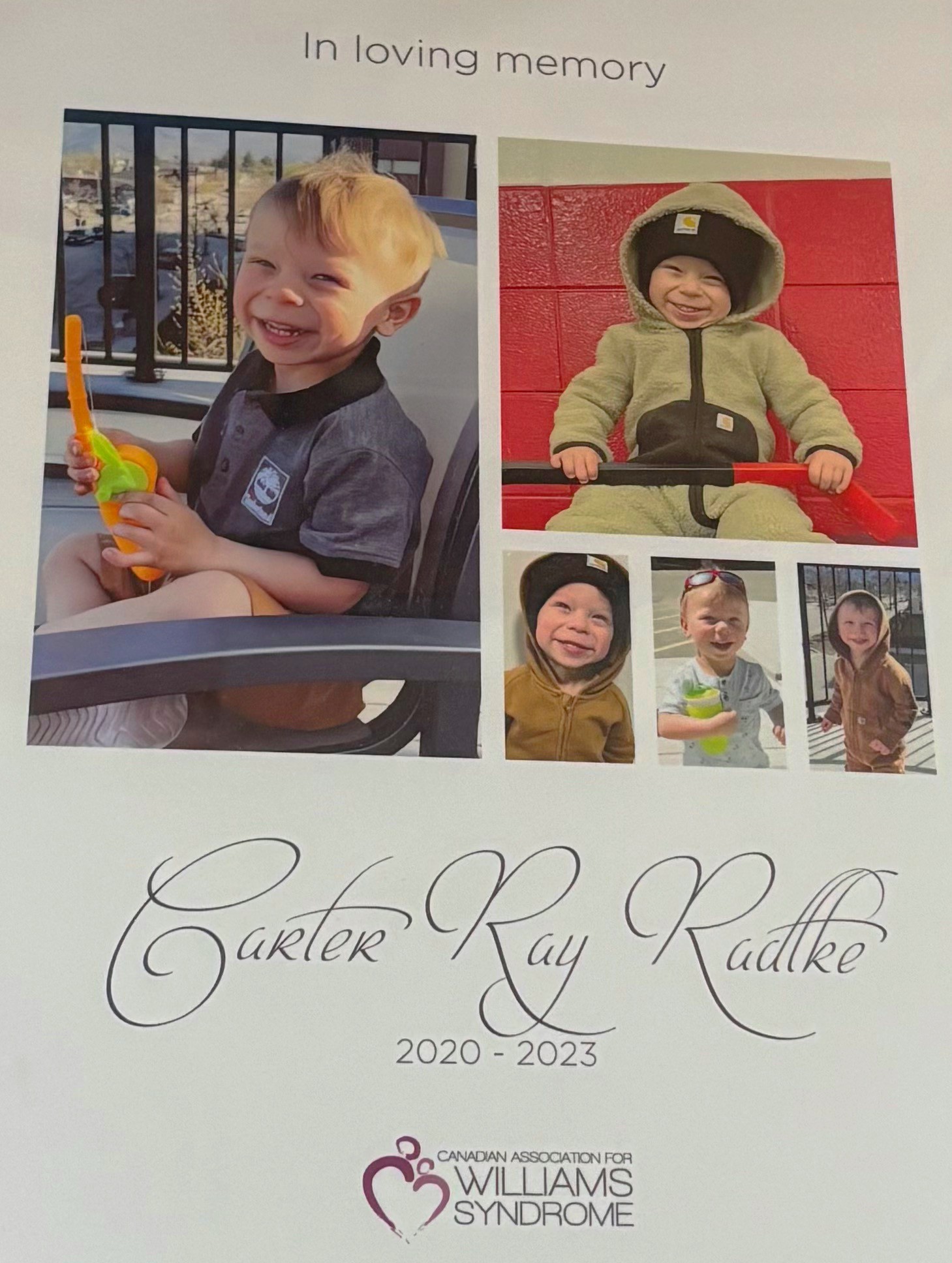 Walk for Williams Syndrome Awareness - CanadaHelps