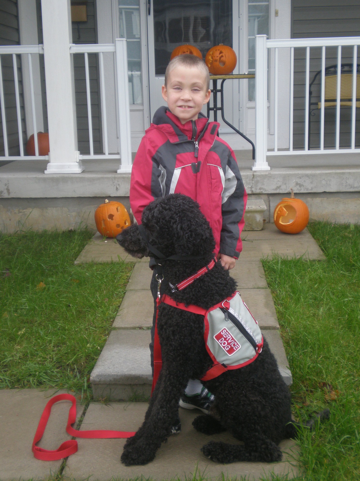Lukas "Lucky" Cuyler's Service Dog - CanadaHelps