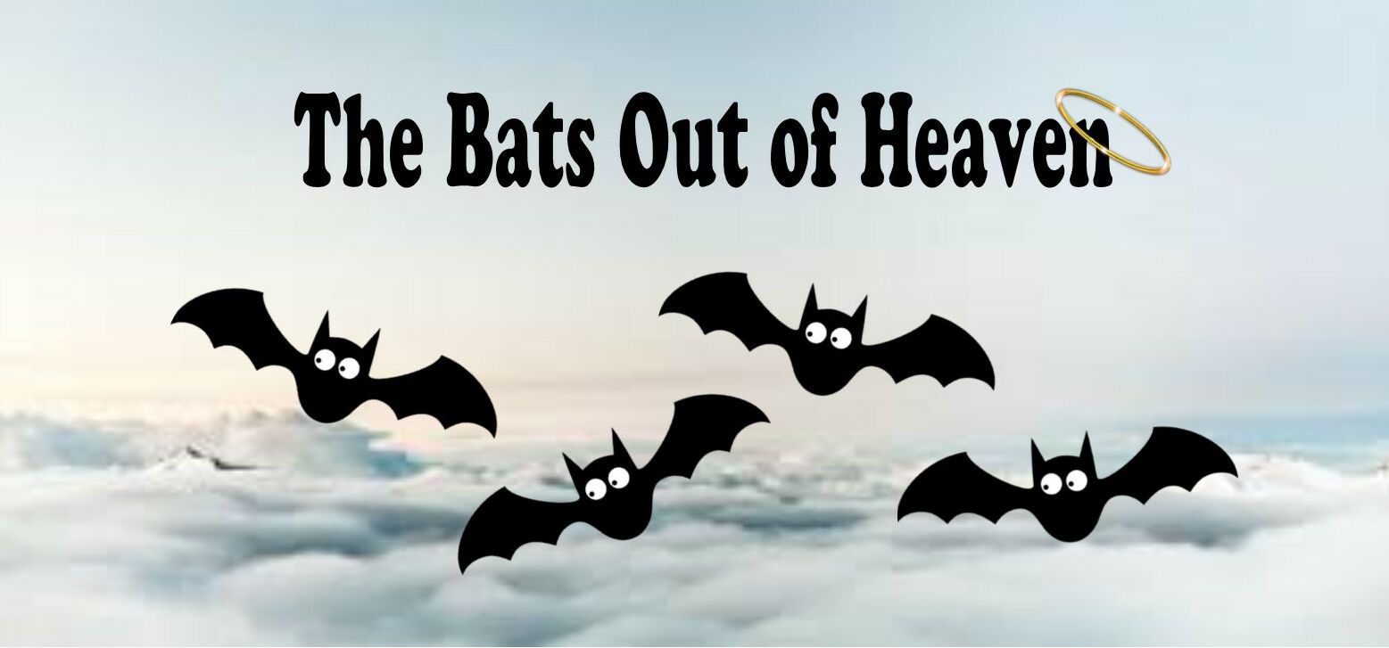 The Bats Out of Heaven - CanadaHelps