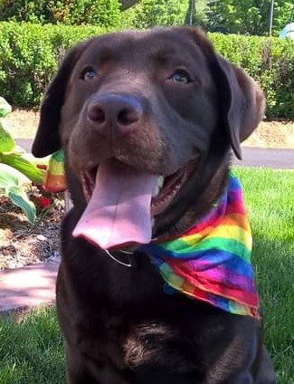 Walk for YOUR Cause - CanadaHelps