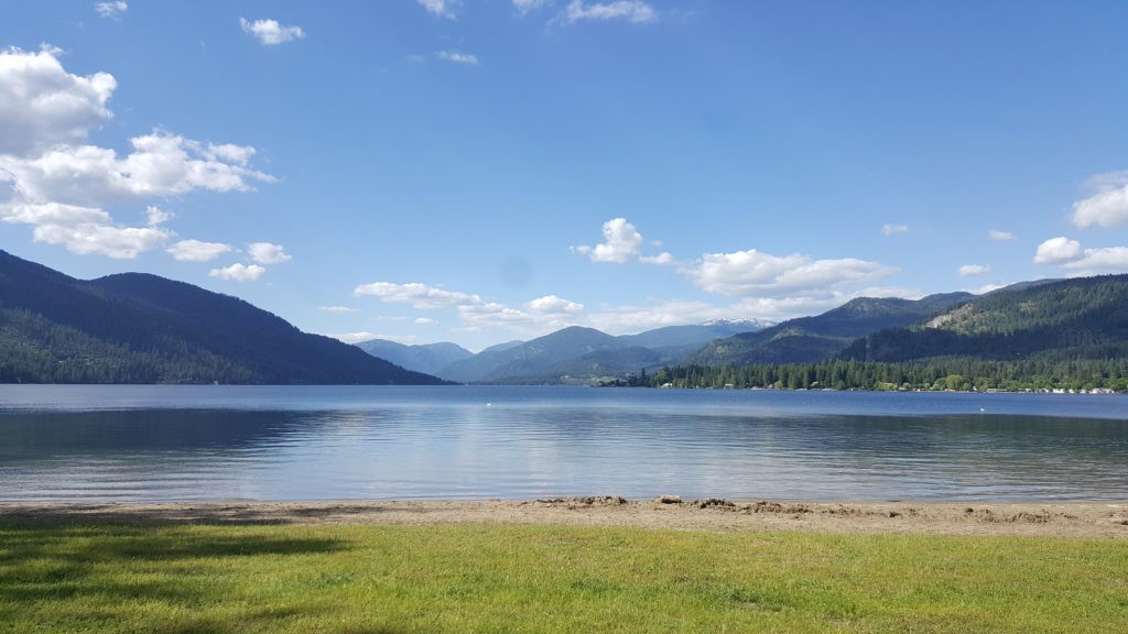 Big Effort Swim 2022 for Cure SPG50 - CanadaHelps