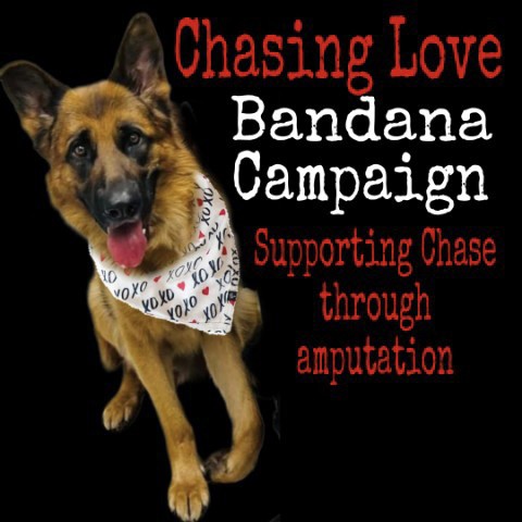 Chasing Love Bandana Campaign - CanadaHelps