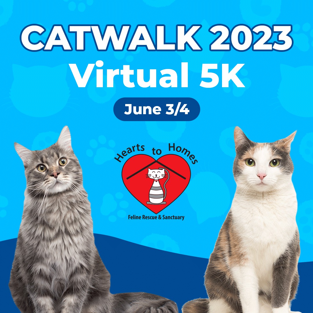 CATWALK 2023 - CanadaHelps