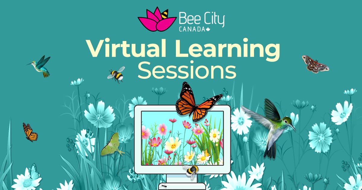 Virtual Learning Sessions Canadahelps