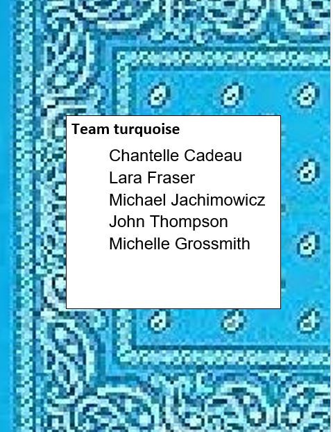 Turquoise team - CanadaHelps