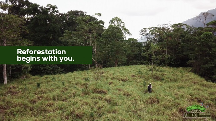 amazon-rainforest-conservancy | CharityProfile | Donate Online