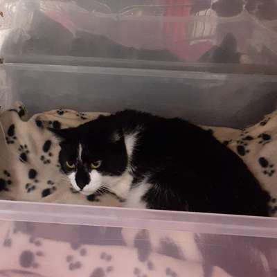 gananoque-district-humane-society | CharityProfile | Donate Online