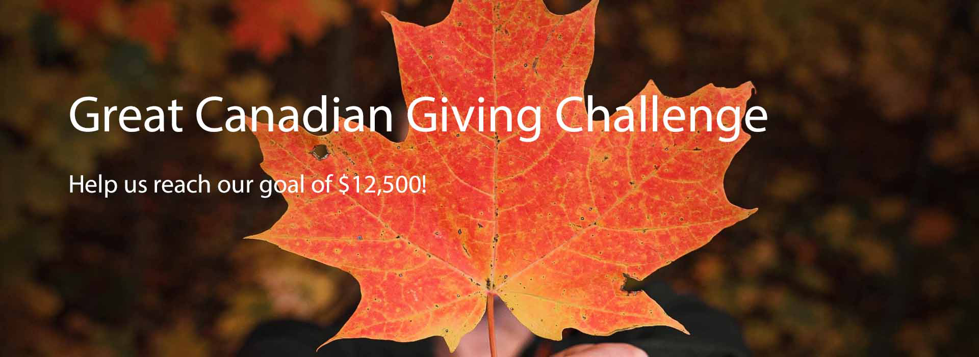Great Canadian Giving Challenge 2022 - CanadaHelps