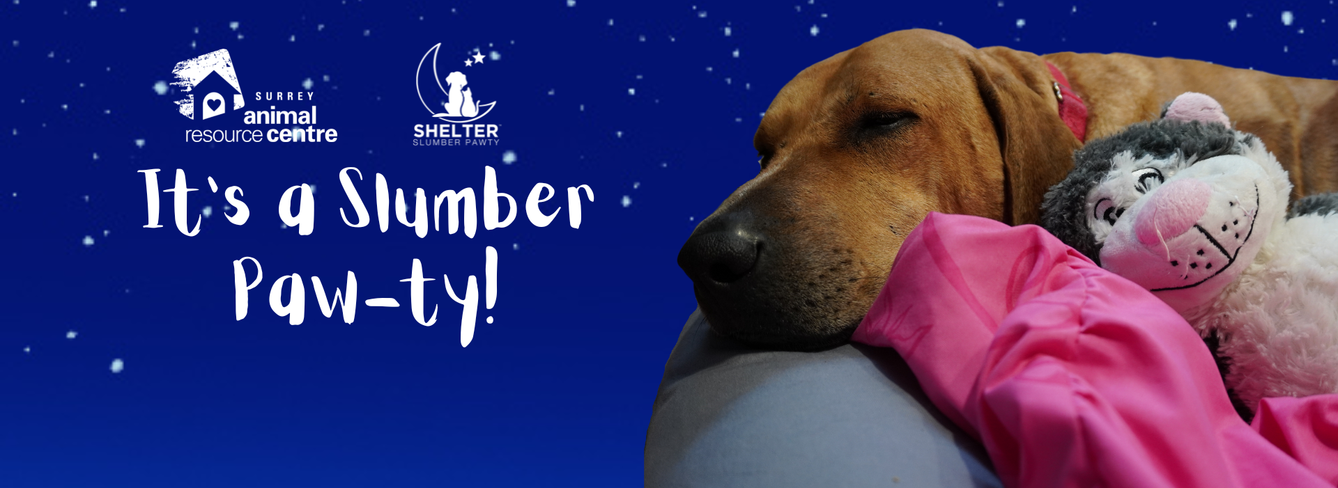 Surrey Animal Resource Centre Shelter Slumber Pawty 2023 - CanadaHelps