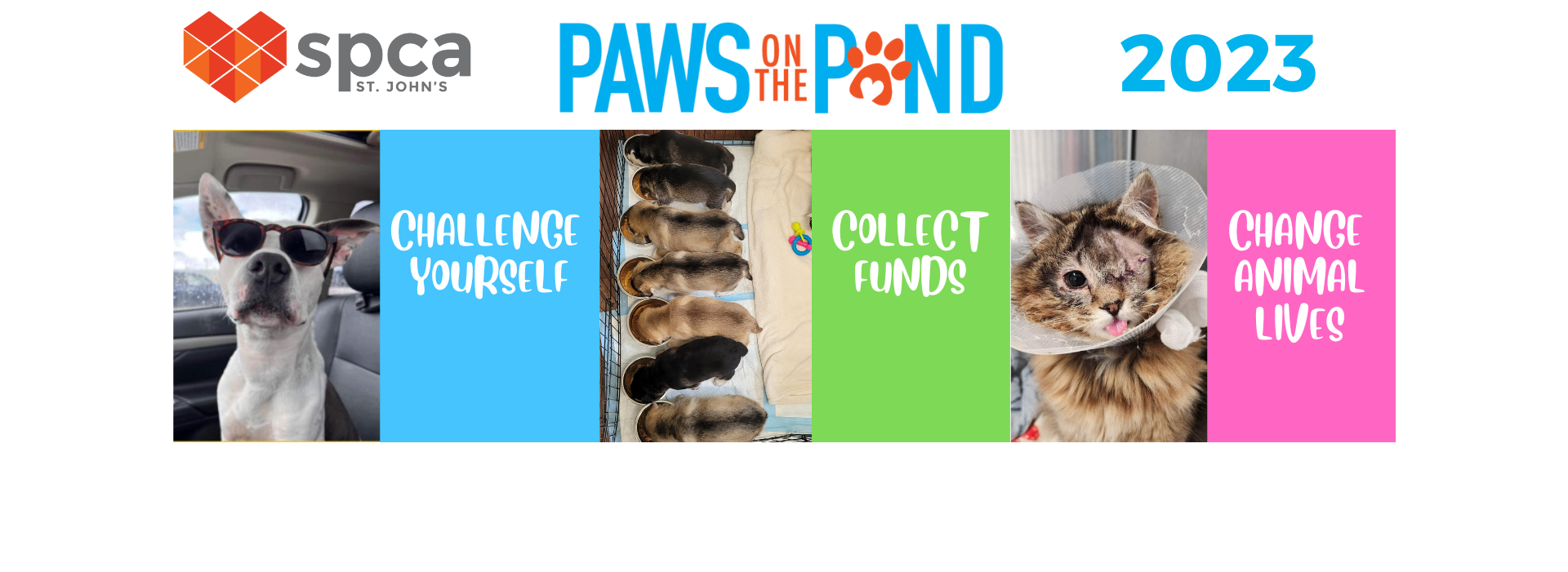 Paws on the Pond 2023 - CanadaHelps