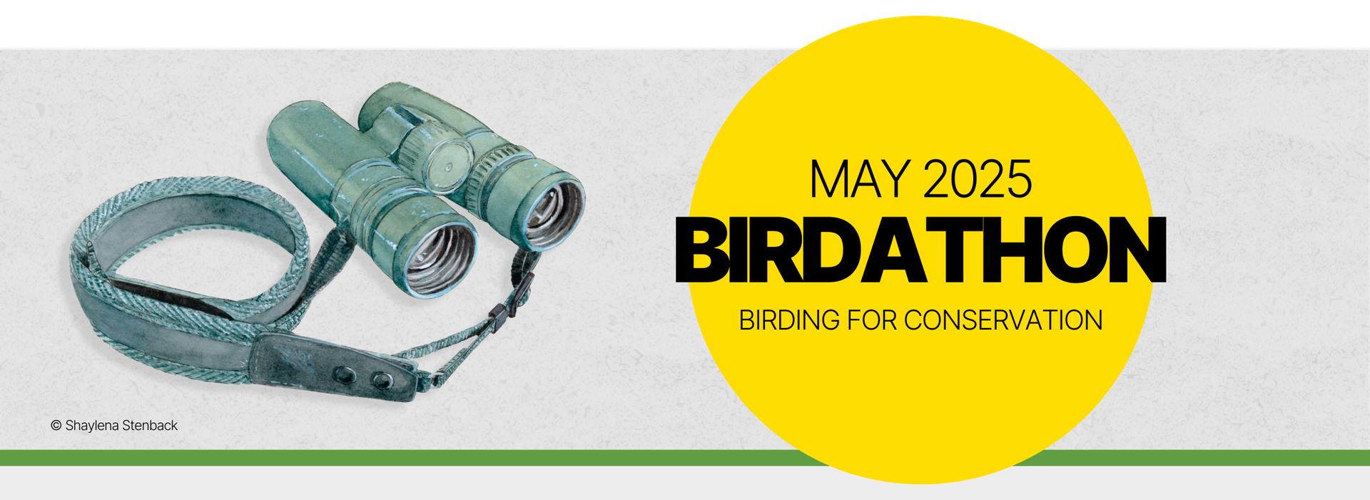The 2025 Birds Canada Birdathon® - CanadaHelps