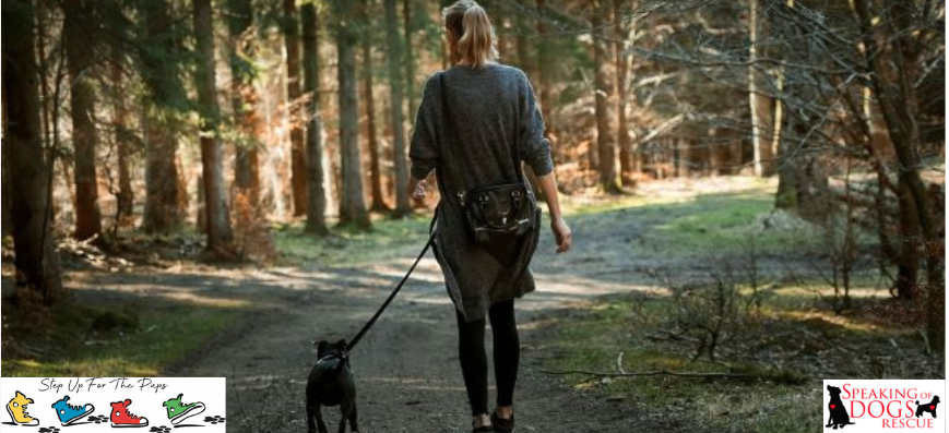 Step Up for the Pups 2025 - CanadaHelps