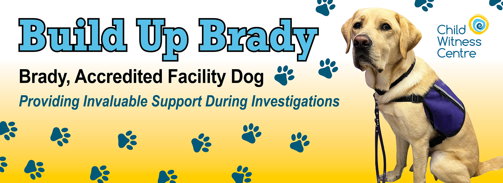Build Up Brady Campaign - CanadaHelps