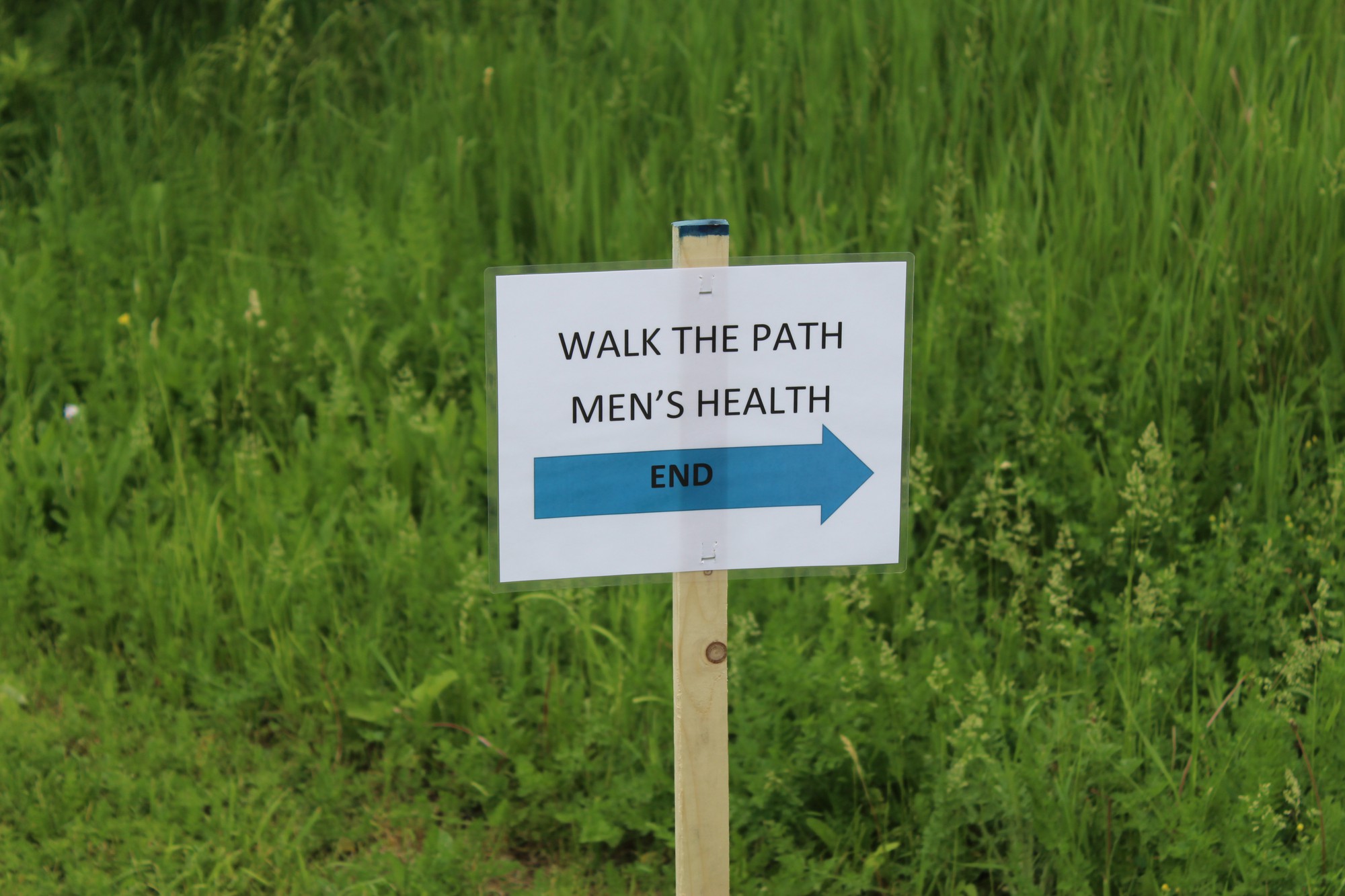 2024 Walk-the-Path 10th Anniversary Fundraising Walkathon in support of ...