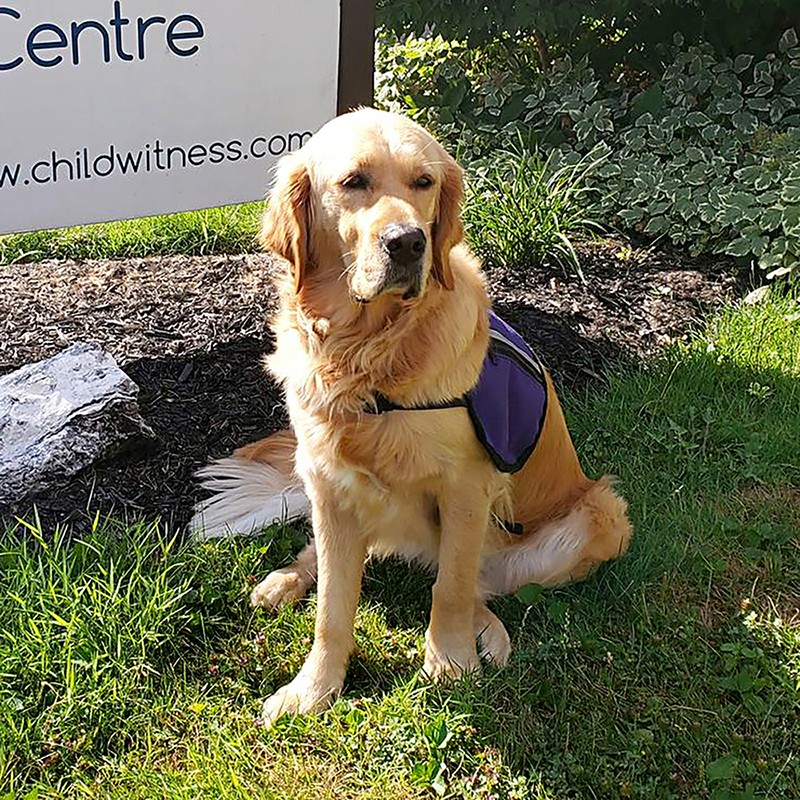 Child Victims Can't Wait 1000 Challenge - Monet's Totally Pawesome 1000 ...